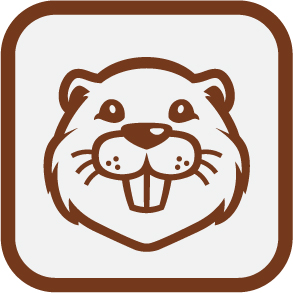 Beavers | Scouts Canada