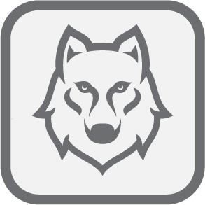 Cubs | Scouts Canada