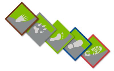 Program Badges- Linking Badges | Scouts Canada