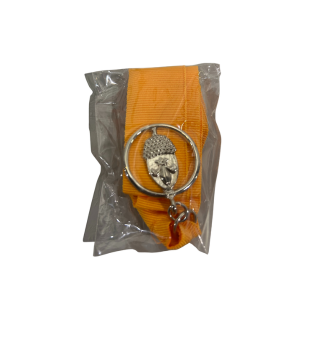 MEDAL – THE SILVER ACORN | Scouts Canada