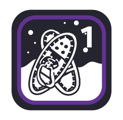 BADGE - OAS WINTER SKILLS | Scouts Canada