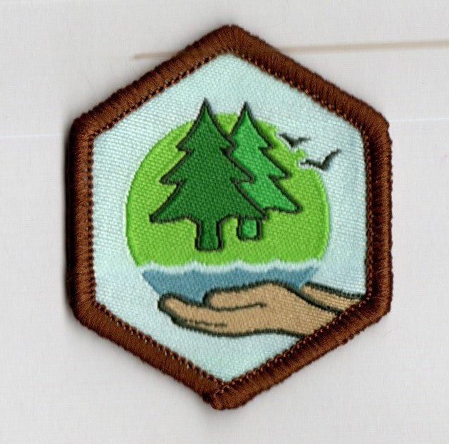 BADGE - SDG - ENVIRONMENT | Scouts Canada