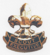 PIN - SCOUT EXECUTIVE | Scouts Canada